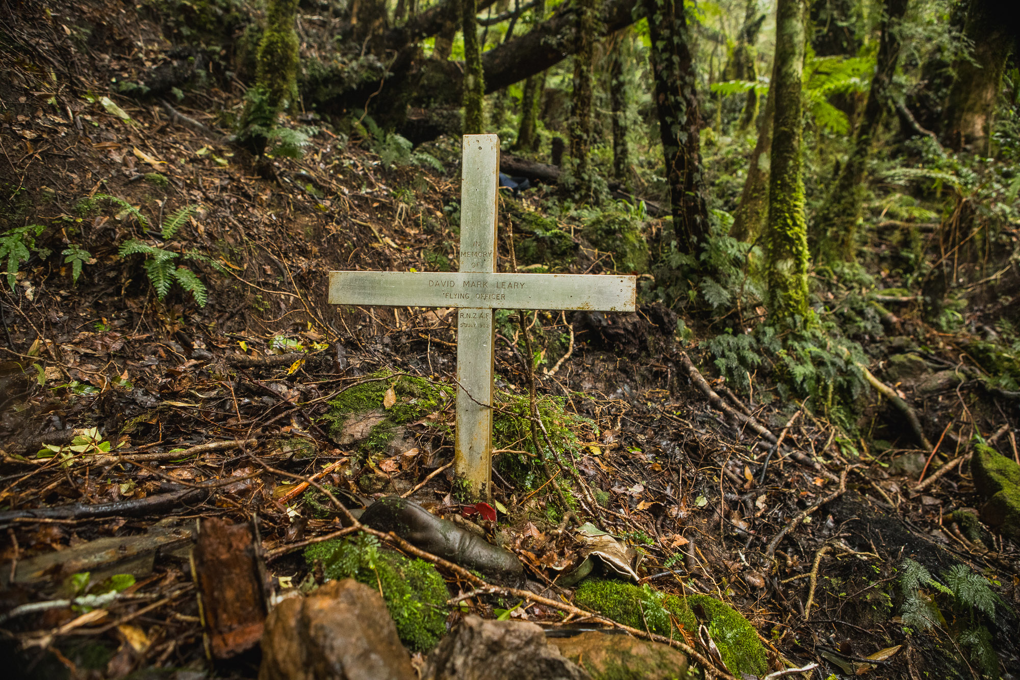 Finding David's Grave, The Hard Way - Caleb Smith Photographer
