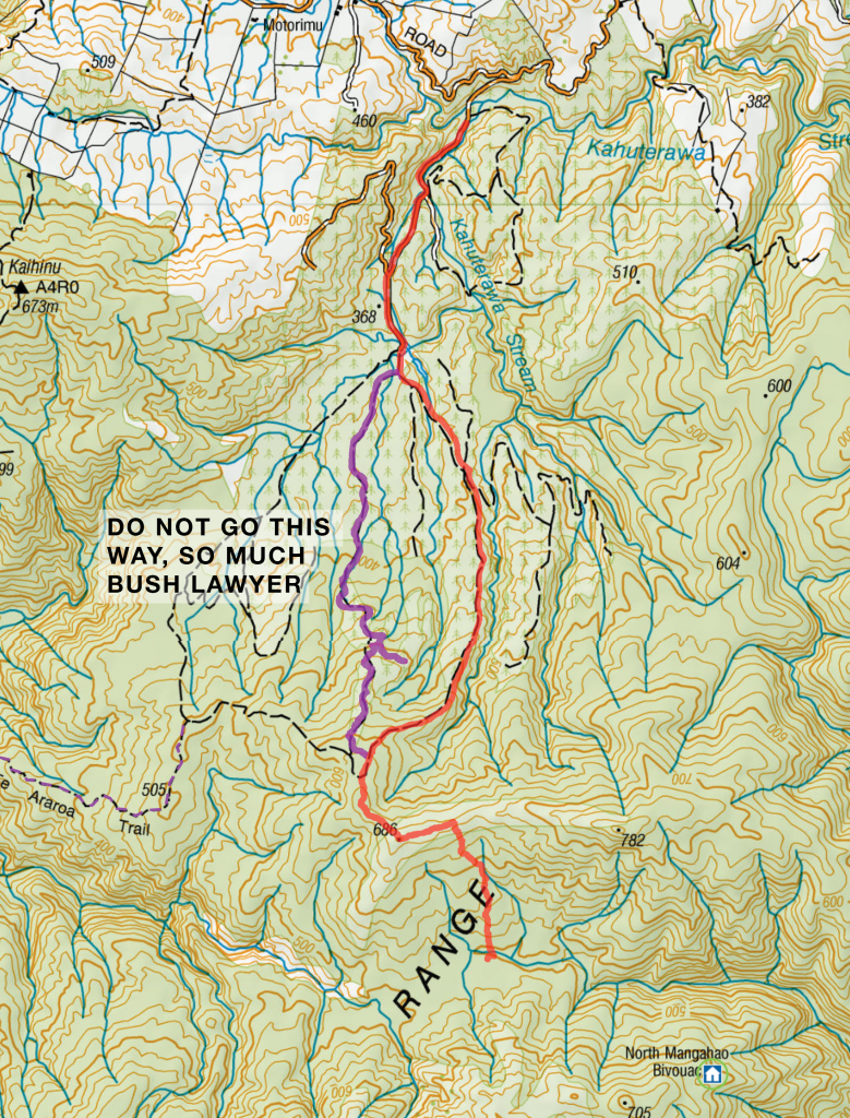 Punga Hut or Bust - Caleb Smith Photographer